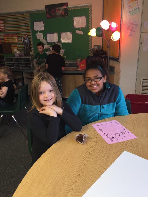 Gallery - Tracy Rice